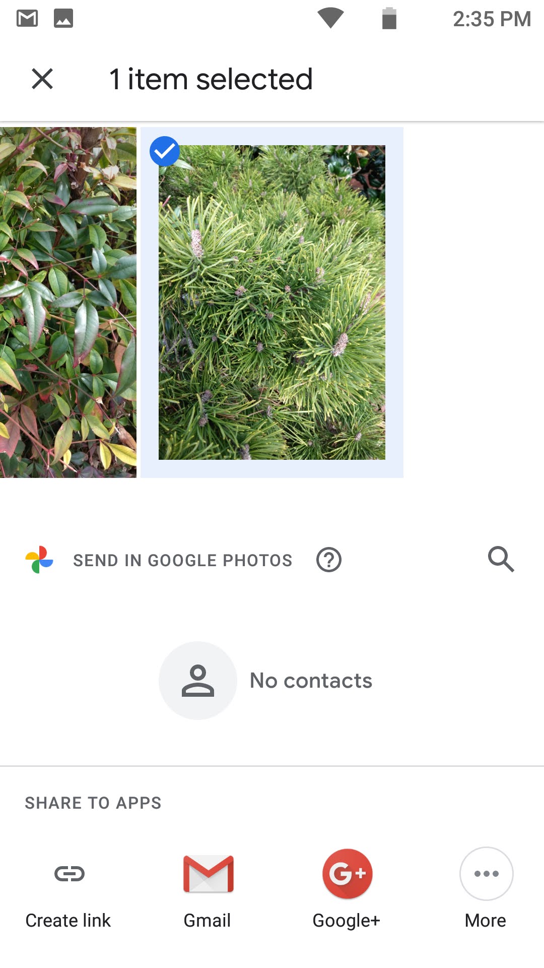 Best App for Sending Photos from Android Phones - Twigby