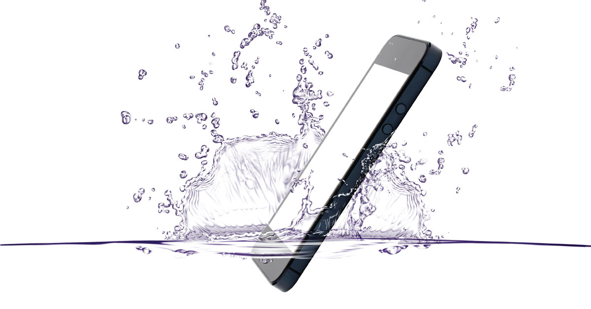 What to Do When Your Phone Gets Wet | Twigby